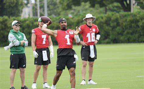 Early Looks Inside The Birds