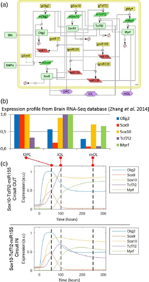 simulations of the download scientific diagram