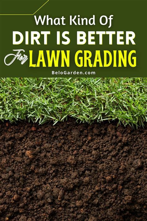 Bermuda Grass Vs Crabgrass Differences And Elimination Techniques For A