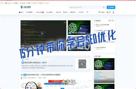 快速掌握网站seo优化：新手站长提升网站排名的15分钟指南 流量增长 技术工具 撸小羊 赚钱副业创业网