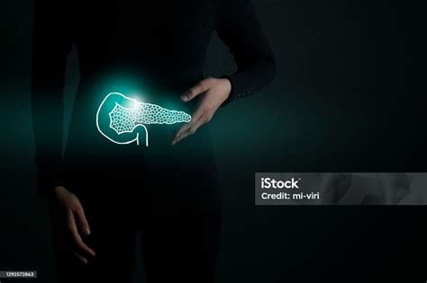 강조 된 췌장 기관 낮은 키 그림 어두운 녹색 배경에 여성의 몸 췌장암에 대한 스톡 사진 및 기타 이미지 췌장암 당뇨병 어두운 색 Istock