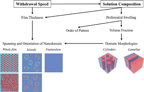 Schematic Illustration Summarizing The Interplay Of The Proposed Main