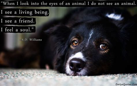 Animal Passing Quotes Quotesgram