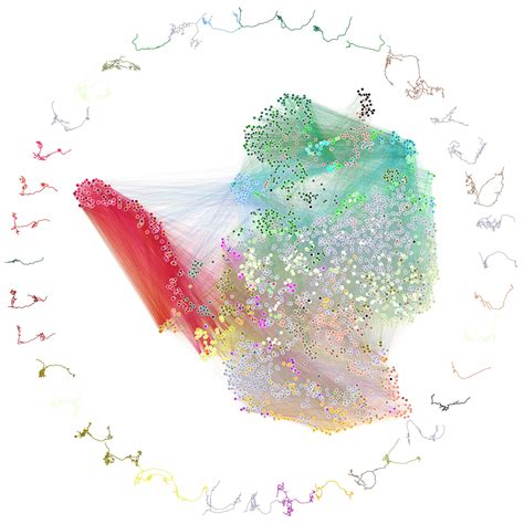 Revolutionizing Neuroscience First Ever Complete Wiring Map Of Insect