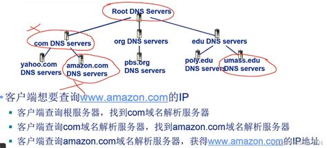 计算机网络之网络应用 Dns应用 Csdn博客