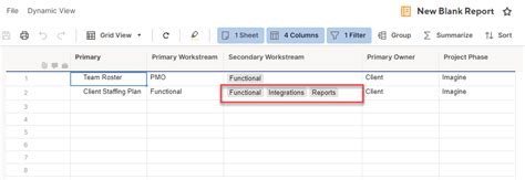 Creating Dynamic View With Single Value Display In A Multi Value Column