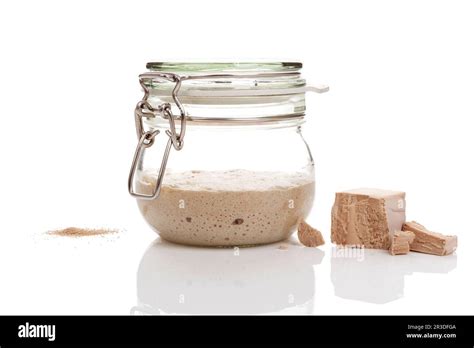 Different Types Of Yeast Stock Photo Alamy