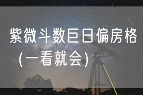 紫微斗数巨日偏房格一看就会 易名谷 知易明理 扬长避短 指路明灯