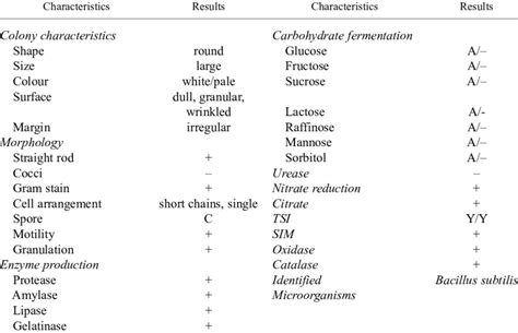 Identification On The Basis Of Morphological And Biochemical Tests