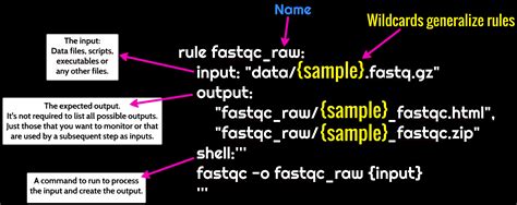 15 Workflow Management Using Snakemake Angus 6 0 Documentation