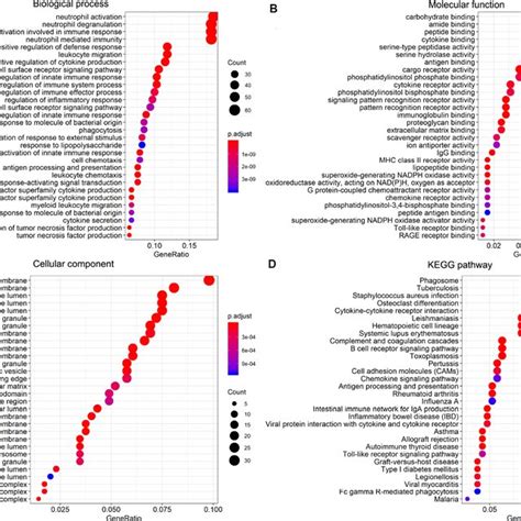 Immune Scores And Stromal Scores Are Associated With Aml Fab Subtypes