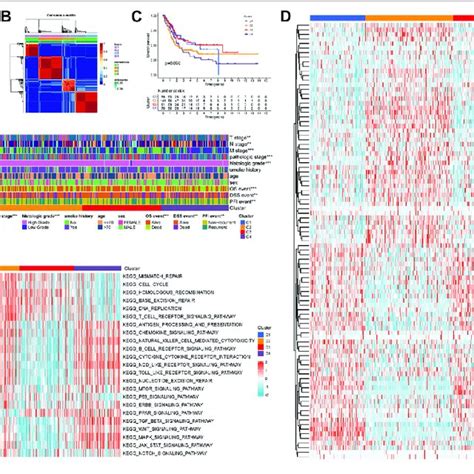 Non Negative Matrix Factorization Clustering Of Iron Metabolism Download Scientific Diagram