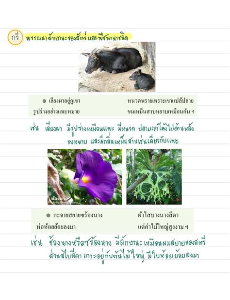 กาพย์ห่อโคลงประพาสธารทองแดง ม ๒ ภาษาไทยกับครูจุ๊บแจง Facebook
