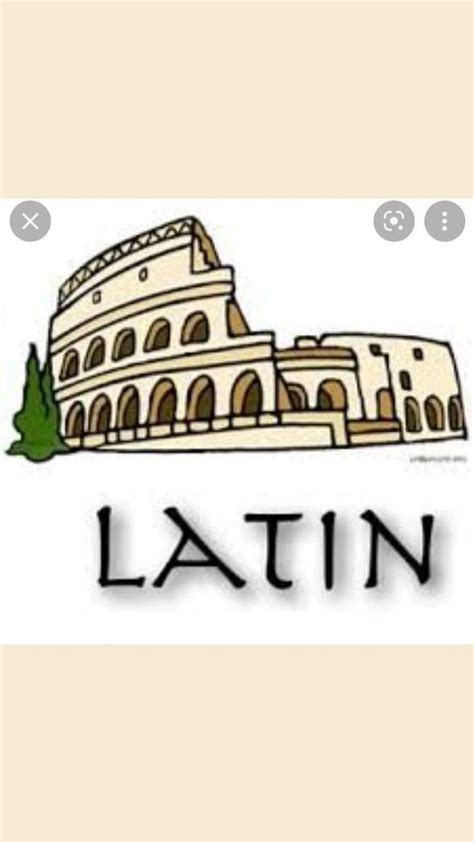 Page De Garde Latin En 2022 Pages De Garde Cahiers Couvertures De