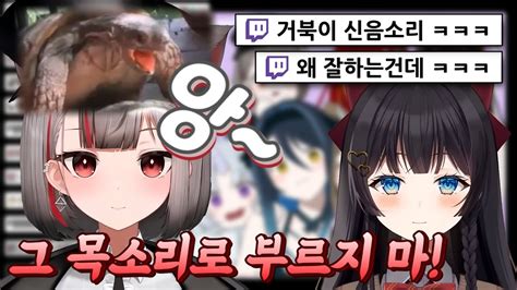 히나한테 거북이 신음소리 성대모사 들려주는 마시로 Youtube