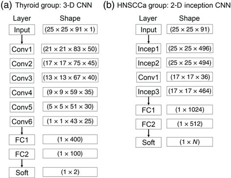Optical Biopsy Of Head And Neck Cancer Using Hyperspectral Imaging And Convolutional Neural