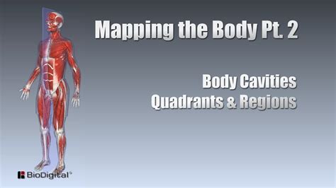 Mapping The Body Part 2 Youtube