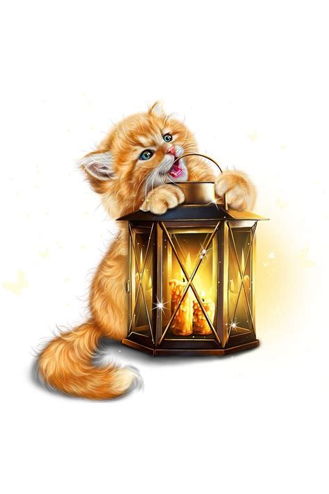 Lovely Cats Милые котики Png Милые котики Кошачьи картины