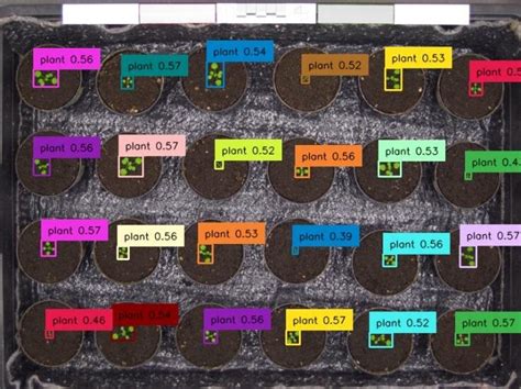 Plant Detection Using Grounded Dino Download Scientific Diagram