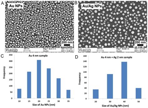 32 The Sem Image A And Corresponding Size Distribution C Of