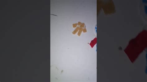 Review Of Paper Pals FNAF I Made YouTube
