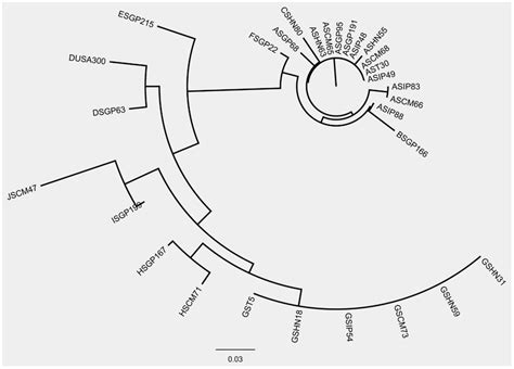 Dendrogram Of Representative Ca Mrsa Isolates N 26 Revealing Ten