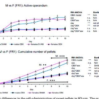 Sex Differences In The Self Administration Of Sweet Pellets In SD Rats Download Scientific