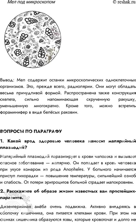 (Решено)Параграф 5 ГДЗ Пасечник 7 класс по биологии