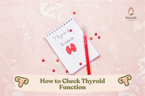 Methods Of Examining Thyroid Function