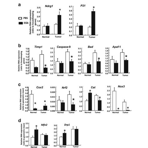 Relative Mrna Expression In Mouse Liver Mrna Expression Was Analyzed