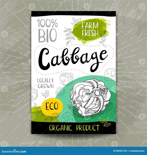 Set Of Hand Drawn Labels Food Spices Stock Vector Illustration Of