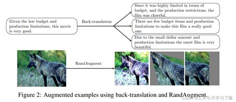 【论文阅读】unsupervised Data Augmentation For Consistency Training Csdn博客
