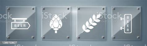 비문 맥주와 함께 거리 간판을 설정 쌀 밀 옥수수 귀리 호밀 보리 홉과 비문 맥주와 거리 간판 세트 정사각형 유리 패널 벡터 밀에 대한 스톡 벡터 아트 및 기타 이미지