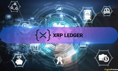 Understanding The Surge In Xrpl Network Activity Crypto Insights