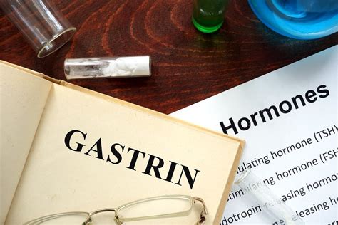 Causes Of High Gastrin Levels Tests Diseases And Gut Health Selfhacked