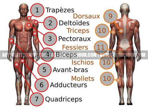 Épinglé par Amanda Biz sur Yoga Fitness TIPS Adducteur Fessiers