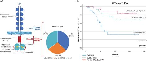 Figure 1 From Not All Kit 557558 Codons Mutations Have The Same