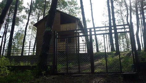 კოტეჯი შეკვეთილი შეკვეთილი საქართველო Hotel24 Ge