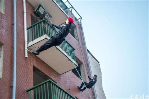 巾帼绽芳华！湖北公安9200余名女警建功立业在警营