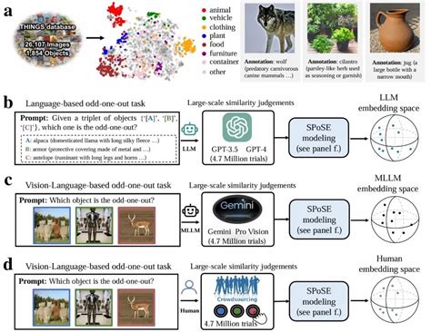 中国科学院科学家首次证实：大语言模型能像人类一样“理解”事物 Cloudandai — C114通信网