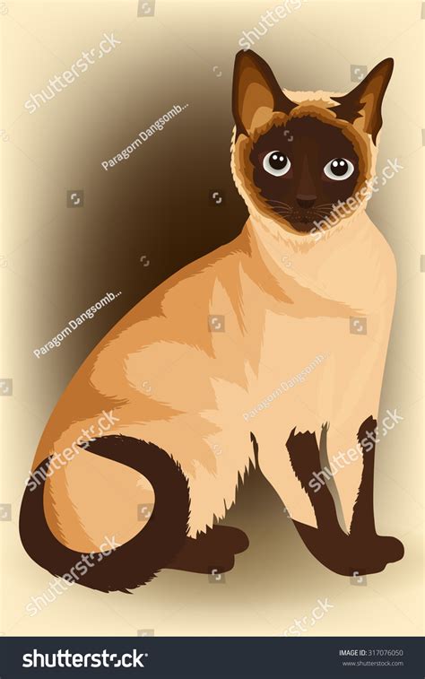 Siamese Cat Vector Stock Vector 317076050 Shutterstock