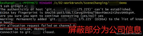 Windows GitLab PTY Allocation Request Failed On Channel 0 ProgrammerAH