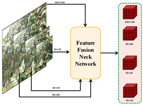 an improved rotating box detection model for litchi detection in