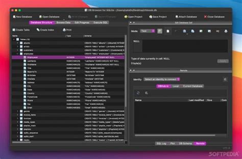 DB Browser For SQLite Download Mac Softpedia