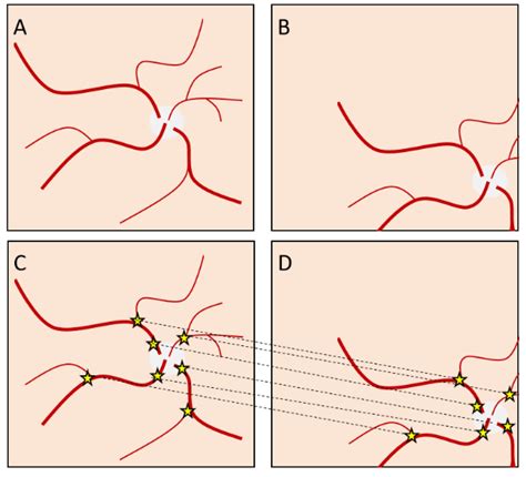 Retinal Feature Matching For Sift Registration A Retinal Image B