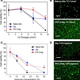 A Fluorescent Images And B Cell Viability Live Cells Of