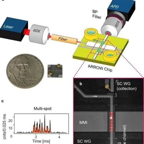 小波分析技术助力实现即时诊断应用的低成本传感器检测分子信号