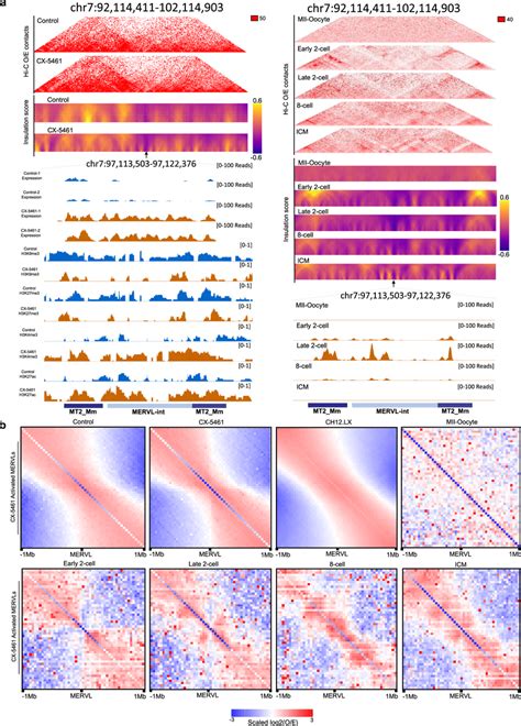 Rrna Biogenesis Defect Drove 3d Chromatin Structure Reorganization Of