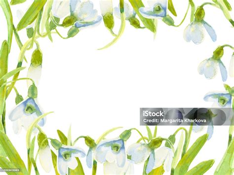 손으로 그린 수채화 Snowdrop 꽃과 잎 프레임 하숙인 흰색 배경에 벽지 섬유 스크랩북 디자인 배너 인사말 카드 초대장에 사용할 수 있습니다 0명에 대한 스톡 벡터 아트
