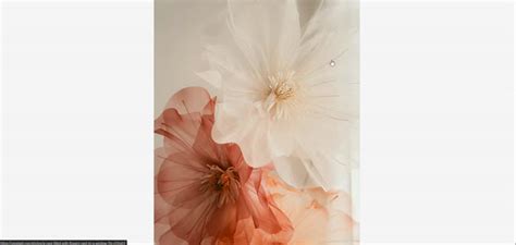 🚀 New Project Alert Infinite Scrolling With Javascript 🚀 Just Wrapped